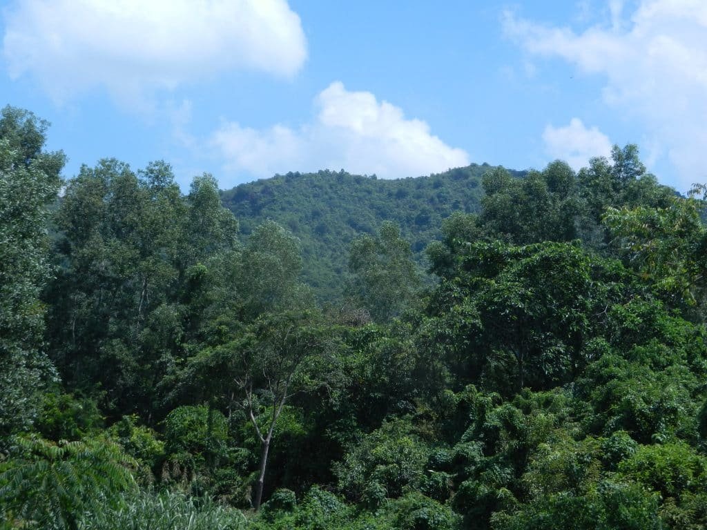 The Cham; A Great but Little-known Culture in Vietnam – Brian Holihan