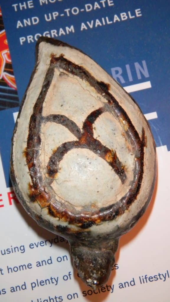 Finding Wonders in Common Objects in Your Daily Life by Looking At ...